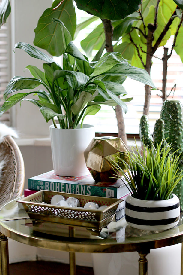 How to Style Your Home with Plants - Swoon Worthy