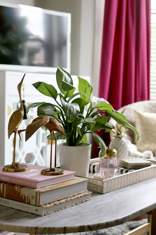 How to Style Your Home with Plants - Swoon Worthy