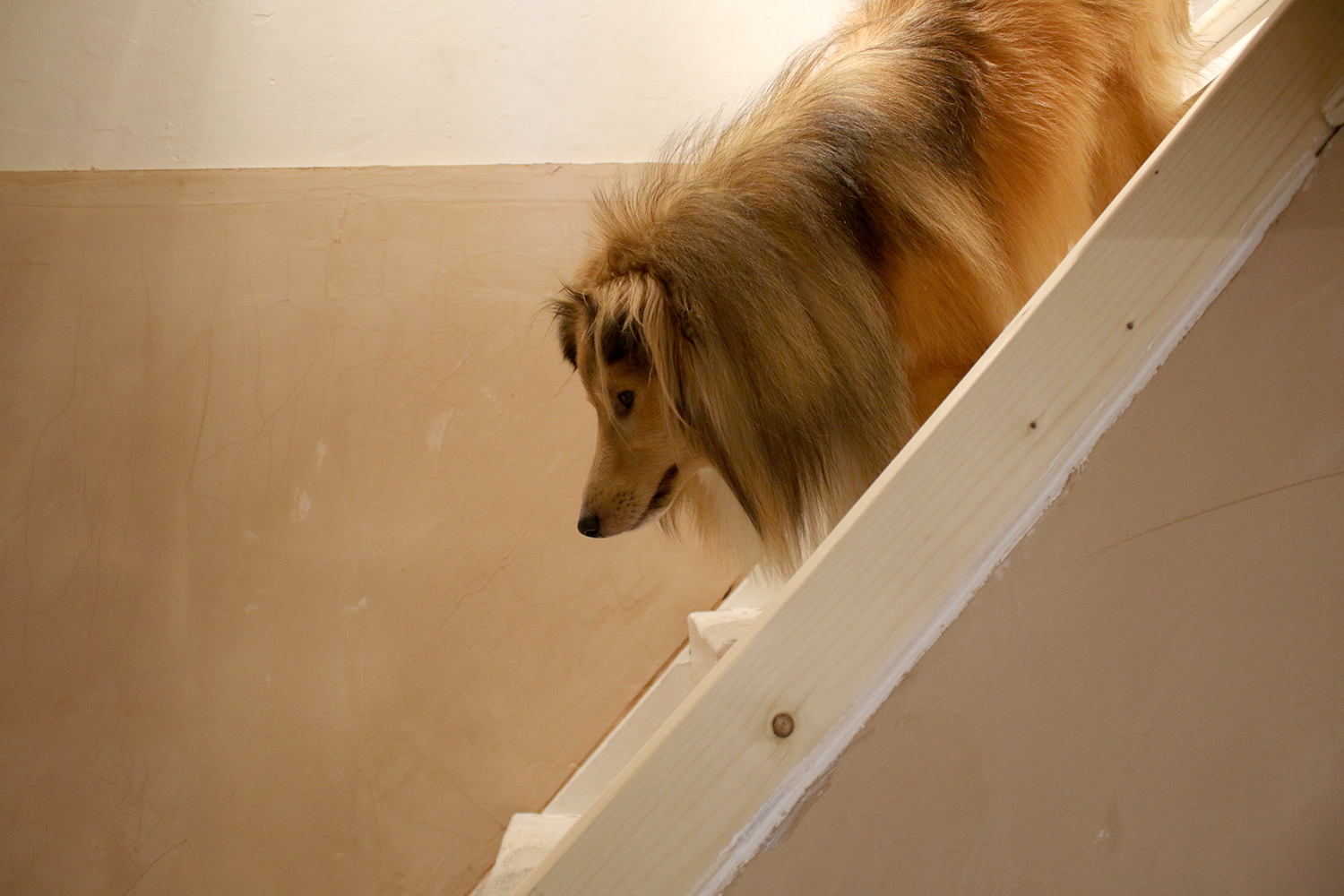 Man Cave to Glam Snug: An Update on the Messy Stuff! - Swoon Worthy