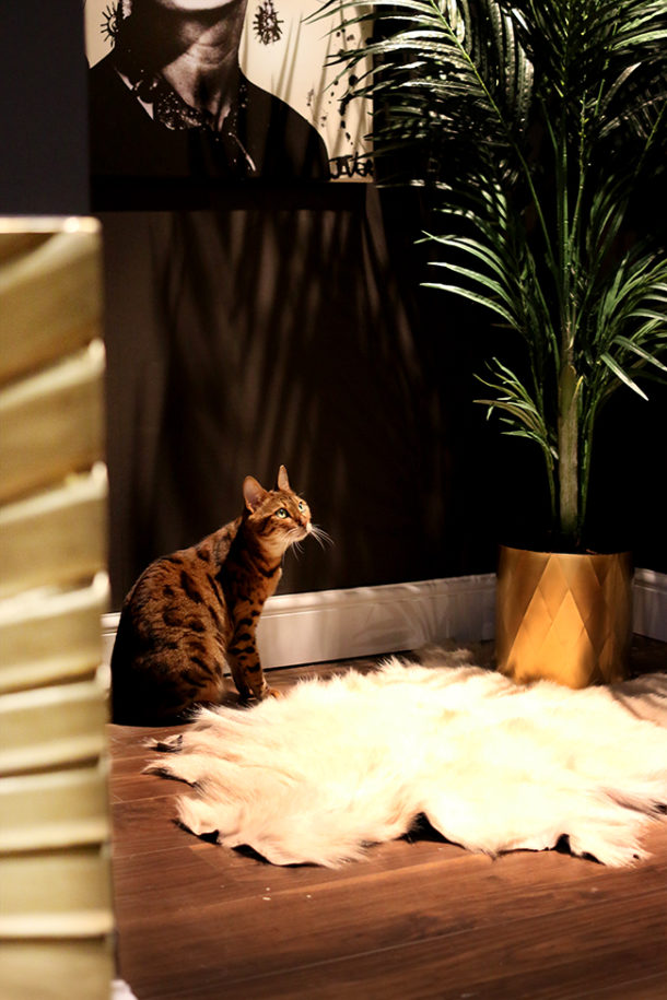 Man Cave to GLAM Cave: The Final Reveal! - Swoon Worthy