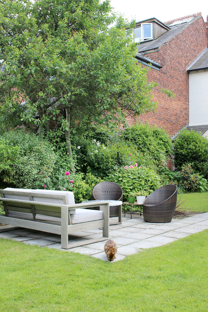 Back Garden: First Look and What We've Done So Far - Swoon Worthy