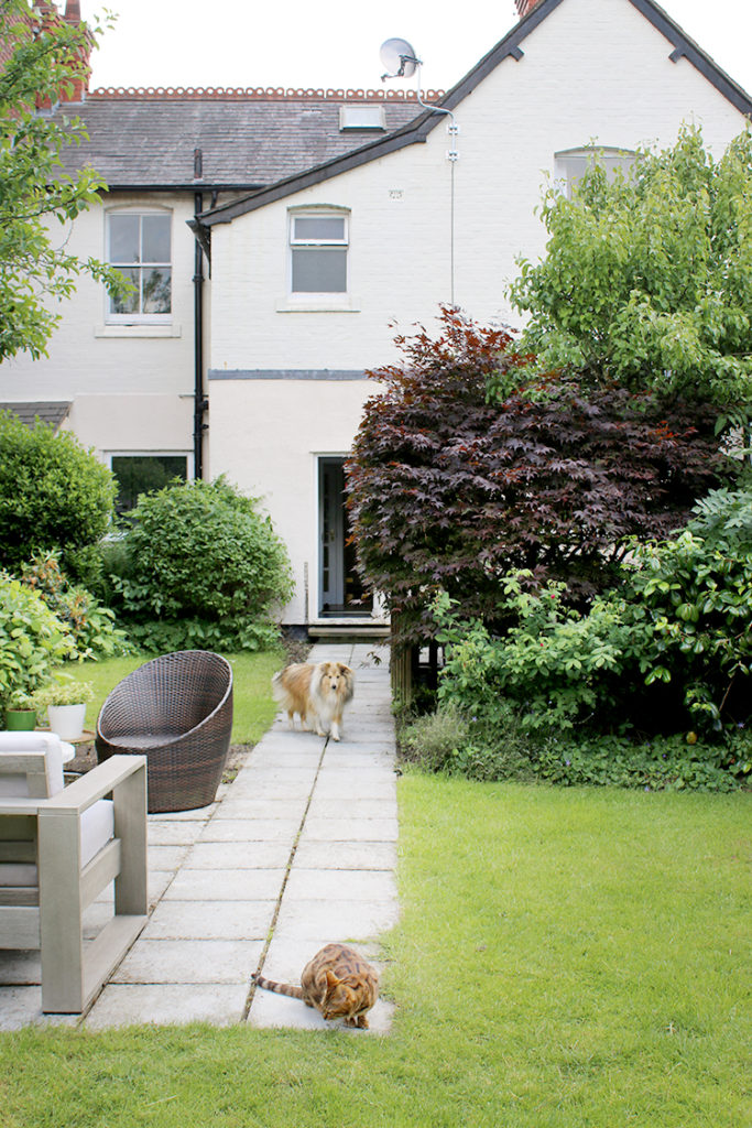 Back Garden: First Look and What We've Done So Far - Swoon Worthy