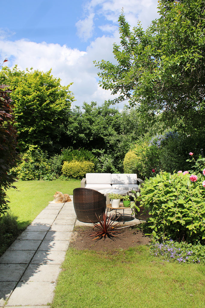 Back Garden: First Look and What We've Done So Far - Swoon Worthy