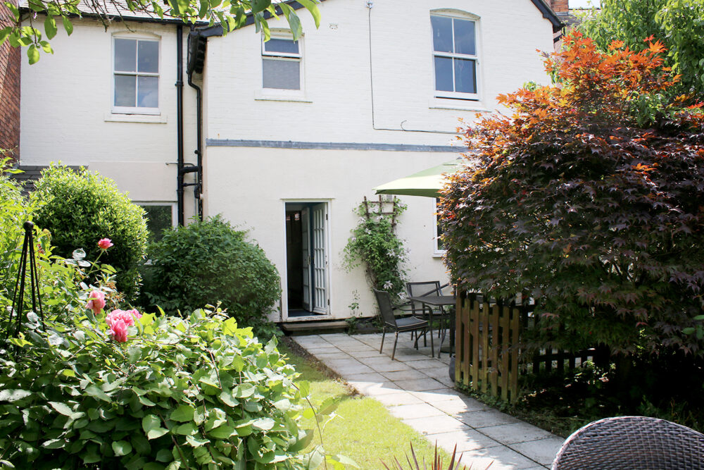 Back Garden: First Look and What We've Done So Far - Swoon Worthy