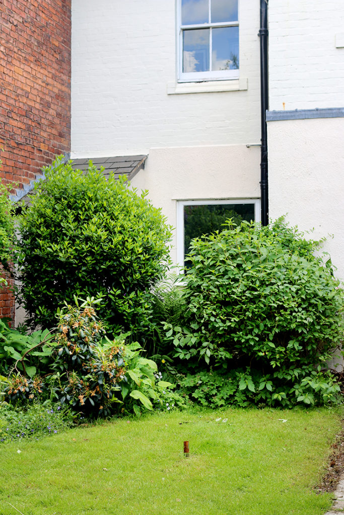 Back Garden: First Look and What We've Done So Far - Swoon Worthy
